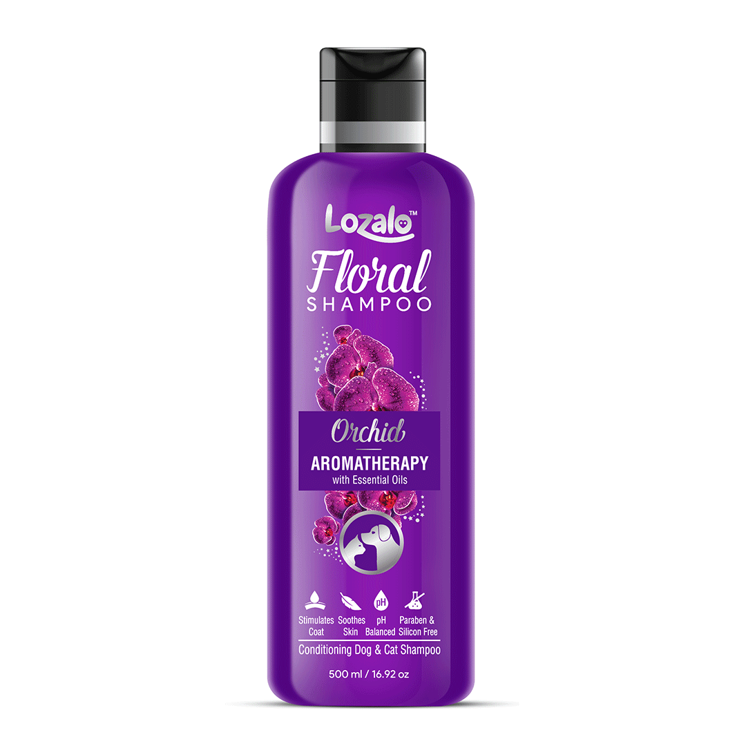 LOZALO FLORAL SHAMPOO 250 ml, ORCHID FRAGRANCE (FS250OR)
