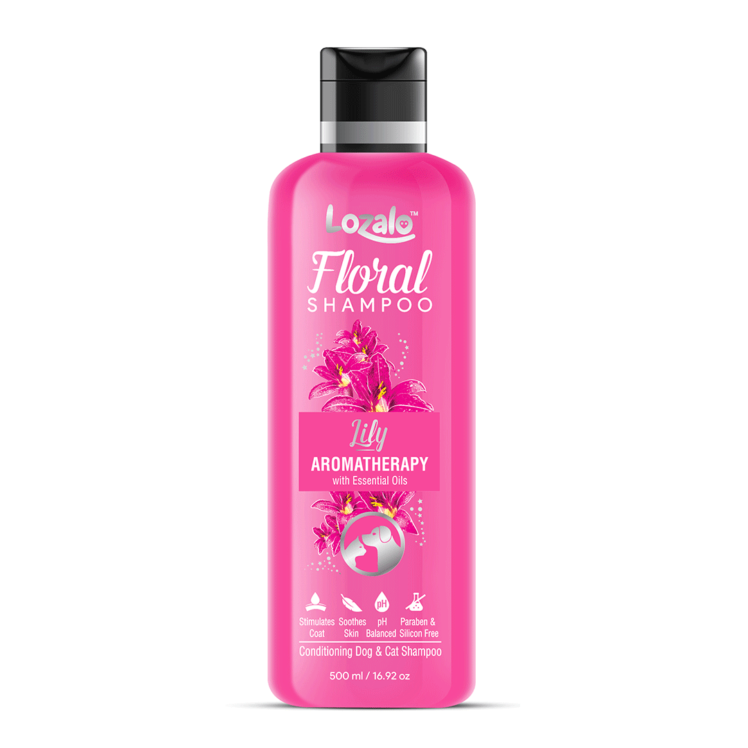 LOZALO FLORAL SHAMPOO 250 ml, ORCHID FRAGRANCE (FS250OR)