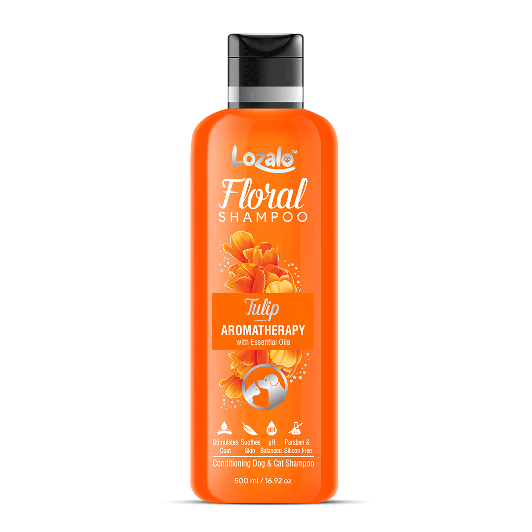 LOZALO FLORAL SHAMPOO 250 ml, ORCHID FRAGRANCE (FS250OR)