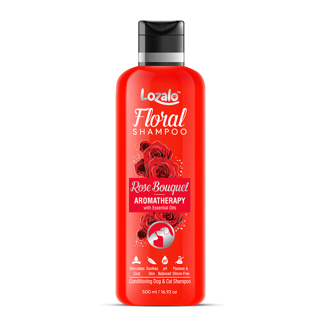 LOZALO FLORAL SHAMPOO 250 ml, ORCHID FRAGRANCE (FS250OR)